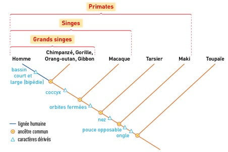 Quiz sciences et croyances | Science & Foi